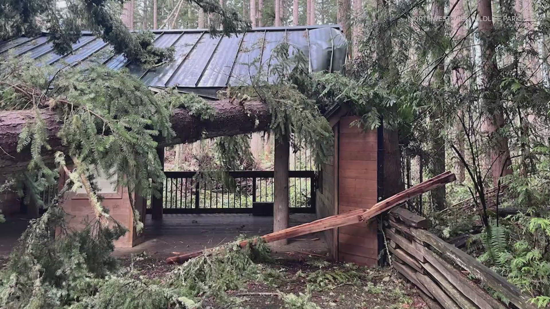 Comparing the February windstorm to 2024's deadly bomb cyclone | king5.com