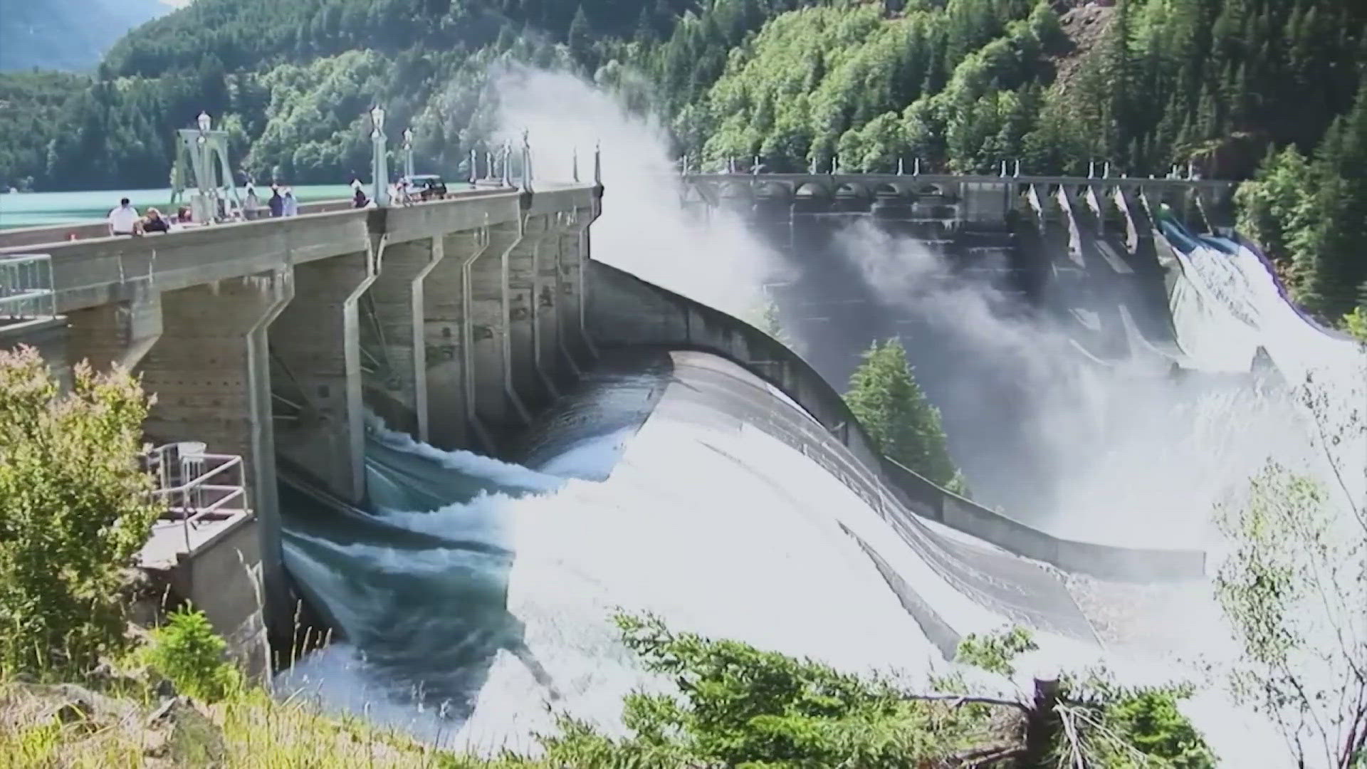 Multi-billion dollar settlement will include salmon passage projects at ...