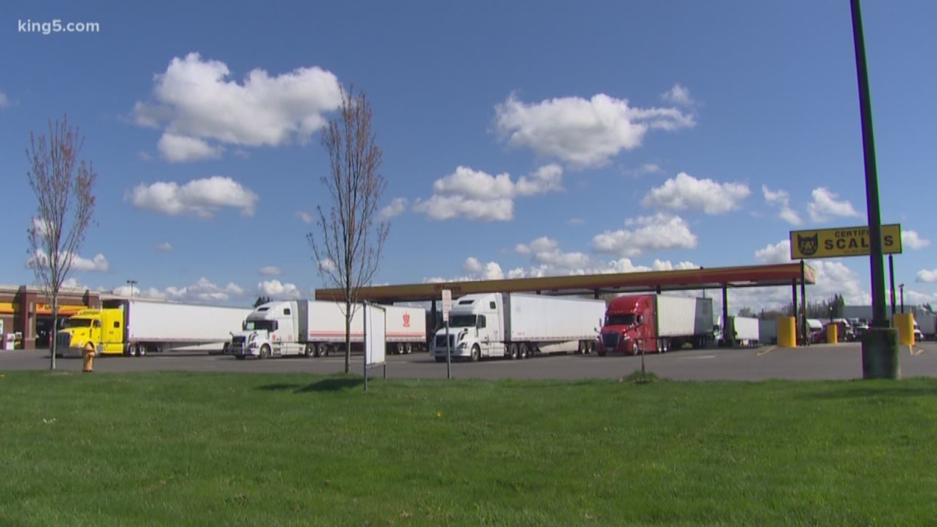 Wsp Sex Sting Rescues 5 Trafficking Survivors