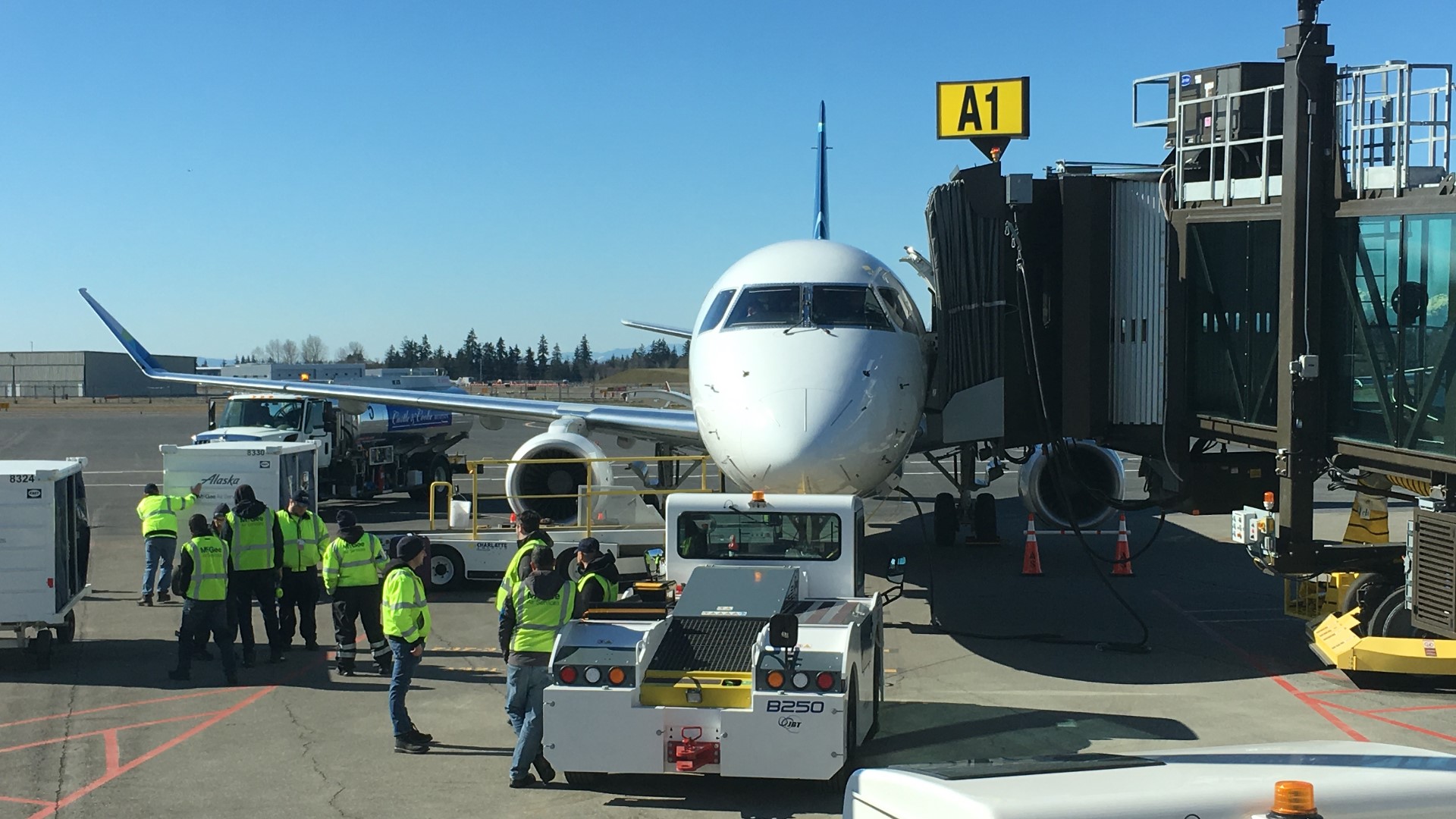 Ailing orca K25’s condition may have improved, researchers say | king5.com