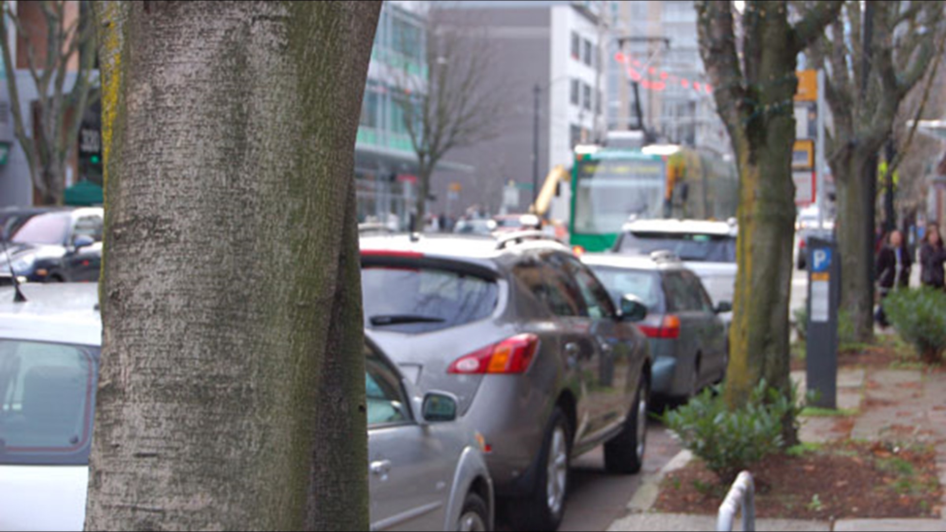 Seattle makes list of 10 best U.S. cities for urban forests | king5.com