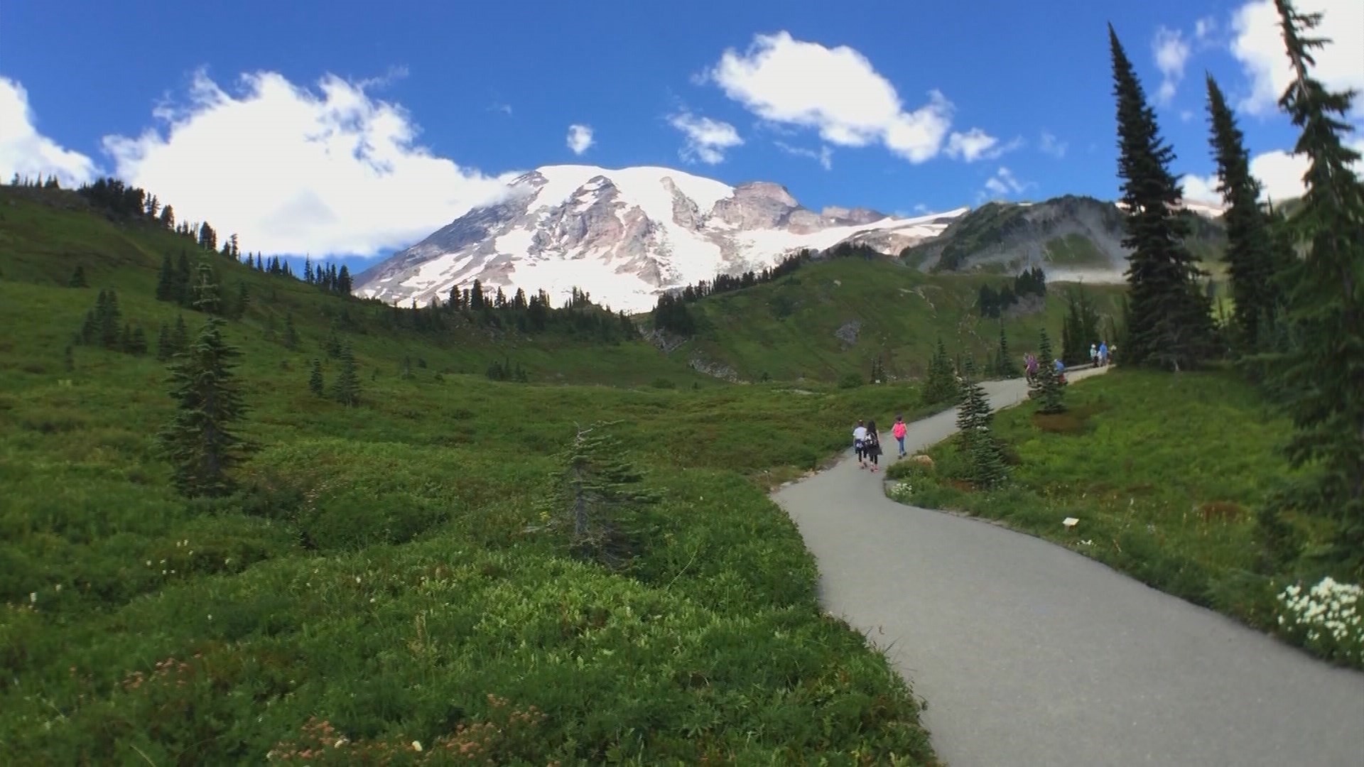 Explore the PNW: Mount Rainier National Park | king5.com
