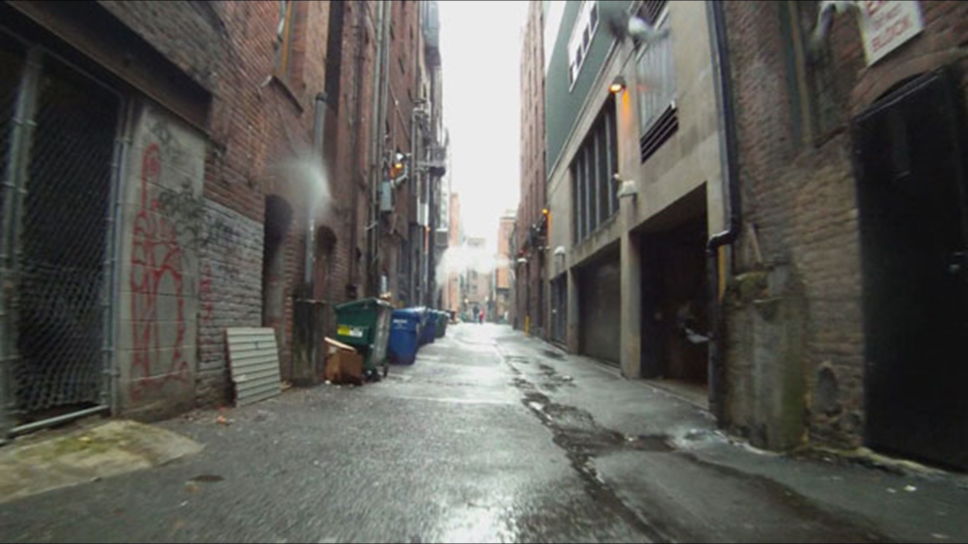 New land for sale: alleys in Seattle | king5.com