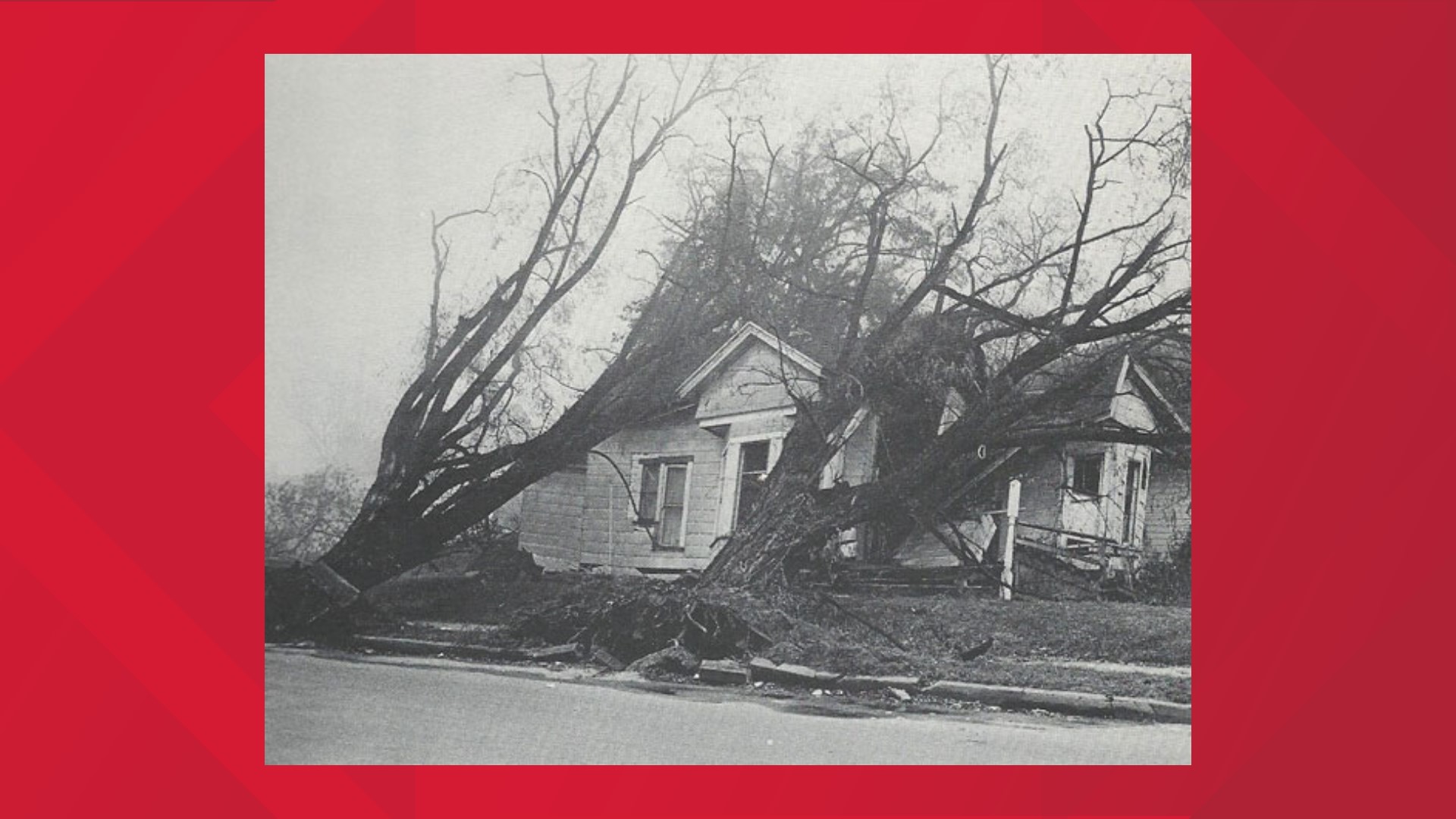 A look back at the Columbus Day Storm on 60th anniversary | king5.com