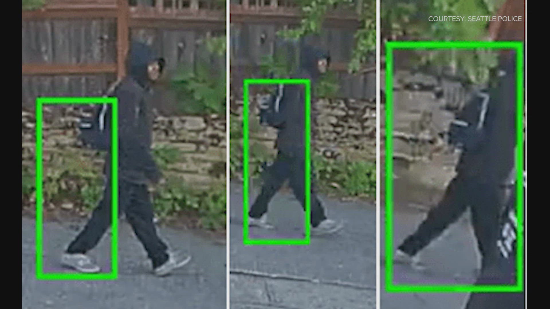 Seattle police search for robbery suspect who bit elderly woman's ...