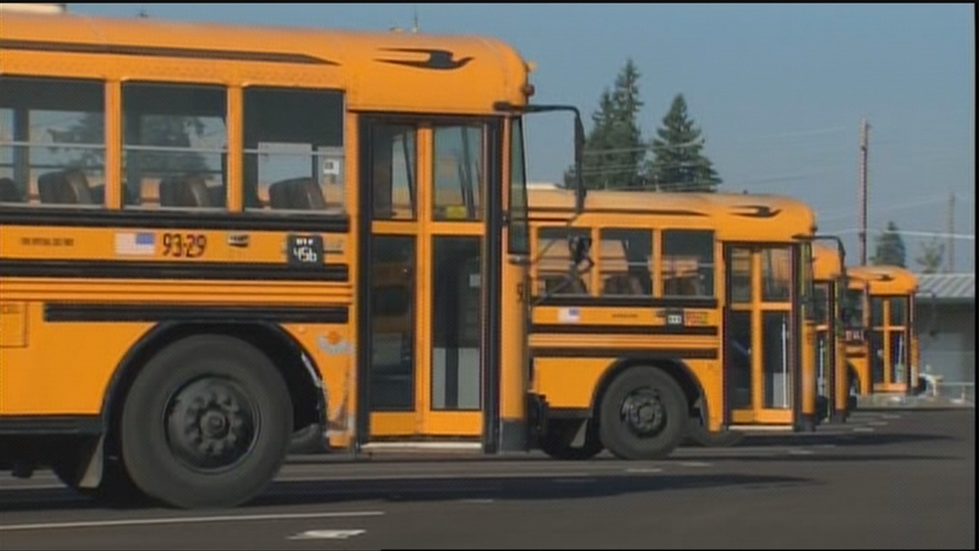 Washington lawmaker wants seat belts in school buses | king5.com