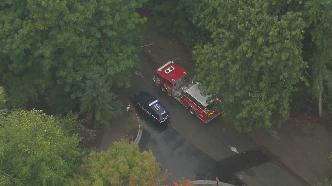 Police investigating fatal crash at Seattle's Carkeek Park | king5.com