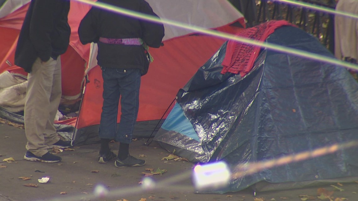 Seattleites cite homelessness, public safety as top concerns in new ...