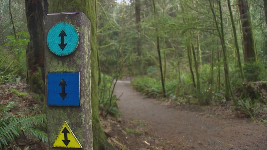 Suspect in Point Defiance Park stabbing accused victim of being ...