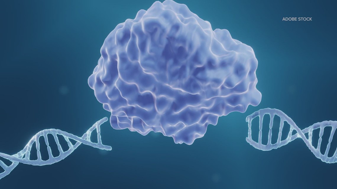 FDA approves gene editing technology to treat sickle cell disease ...