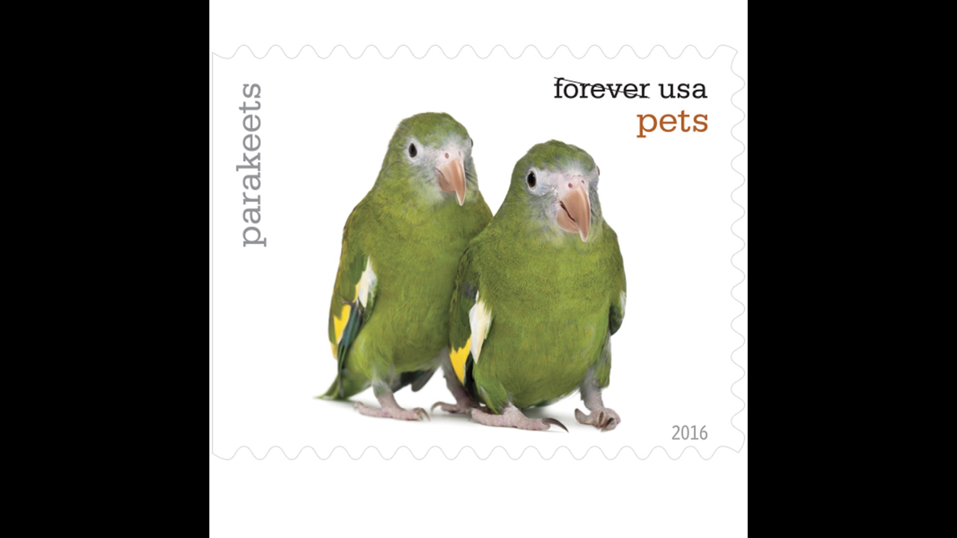 Forever Pet Stamps | king5.com