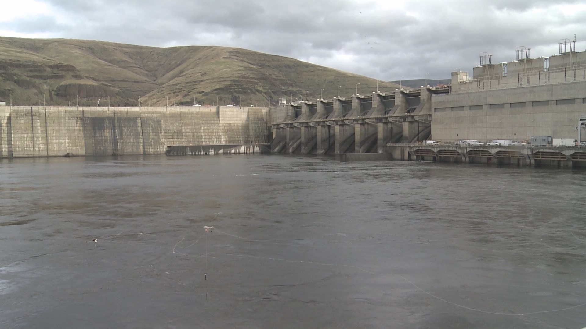 Snake River dams examined after decades of lawsuits | king5.com