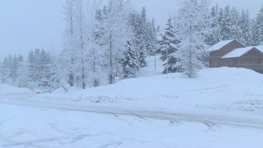 Three restaurants that make Bow-Edison a dining destination | king5.com