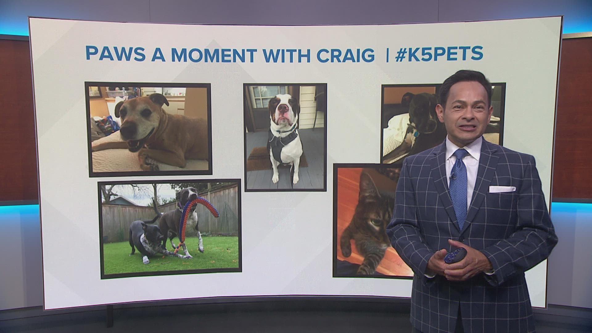 A final 'Paws a Moment' with KING 5 Meteorologist Craig Herrera | king5.com