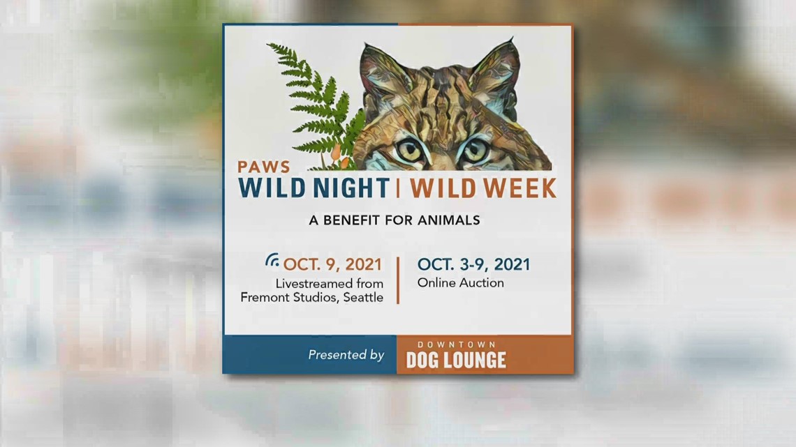 PAWS 'Wild Night' auction goes virtual Oct. 9 to benefit wild and ...