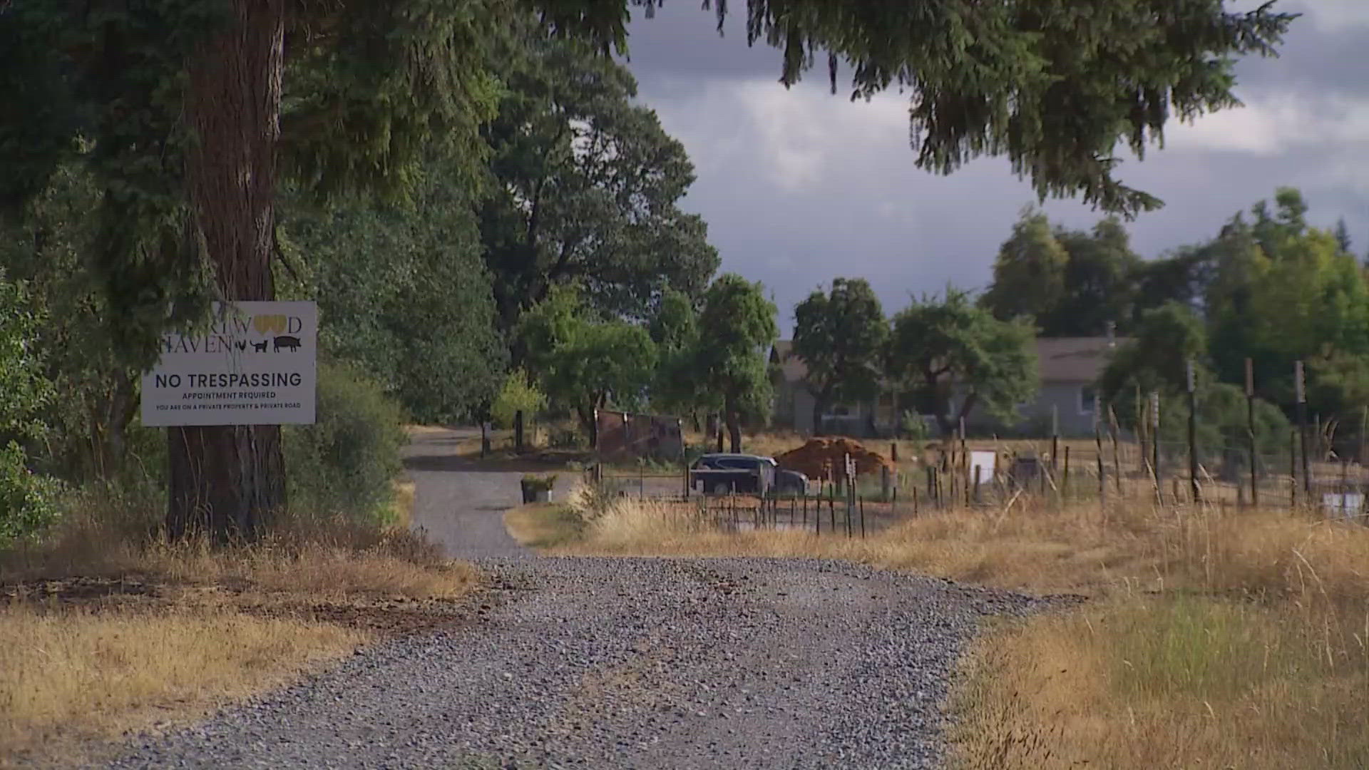 67 animals rescued as part of Thurston County cruelty investigation ...