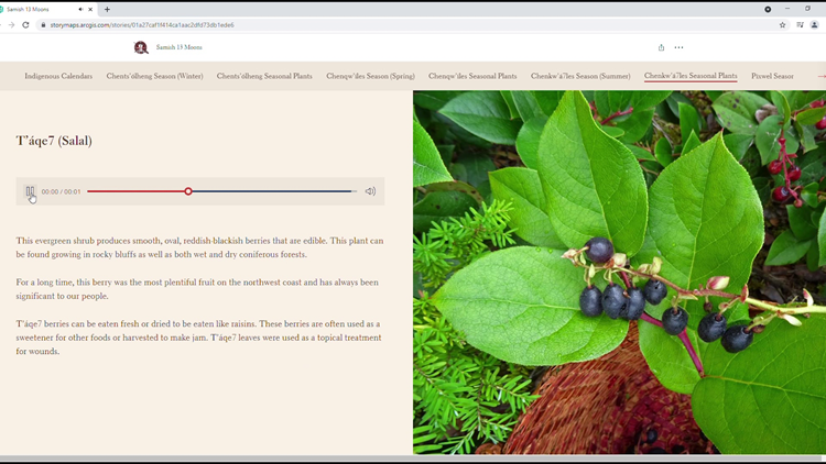 '13 Moons' virtual story map keeps Samish culture alive | king5.com