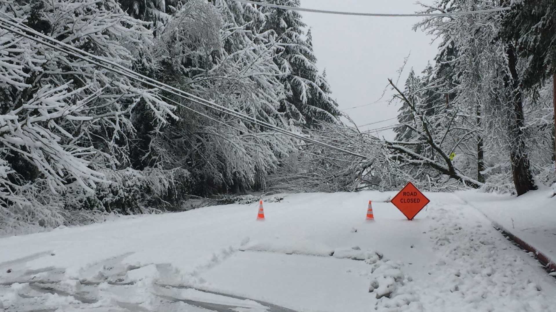 Winter storm strikes Puget Sound, closes schools across region | king5.com