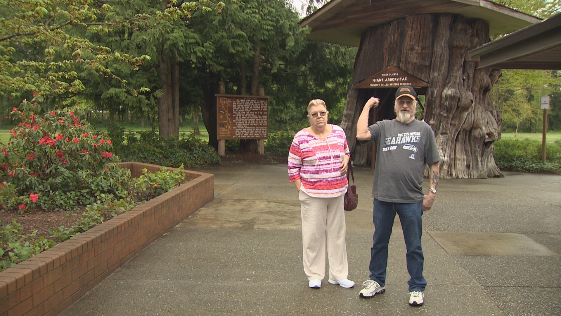 Best Rest Stop Revealed: Smokey Point with its giant stump | king5.com