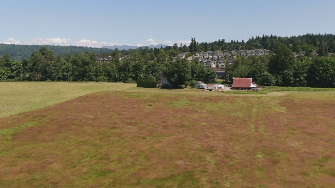 New report shows how drought impacted WA, helps agencies plan for ...