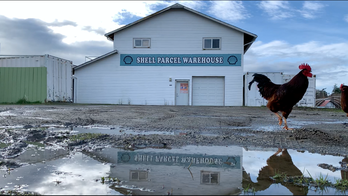 Point Roberts is a Washington state ghost town in the making | king5.com