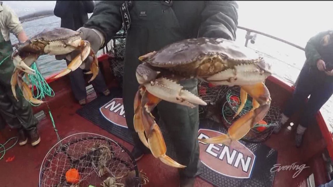 Dungeness crab: The tastiest catch on the Washington coast! | king5.com