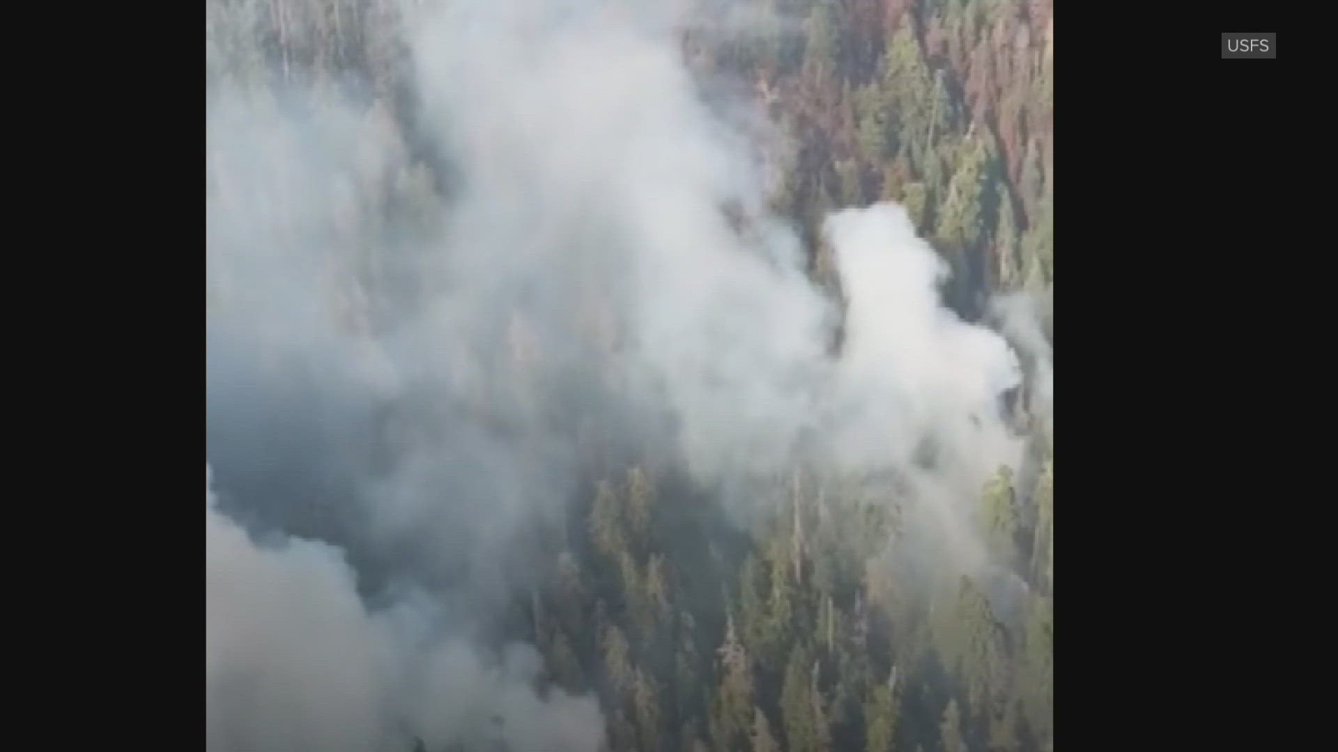 Bear Gulch Fire showing new growth Bear Gulch Fire showing new growth ...