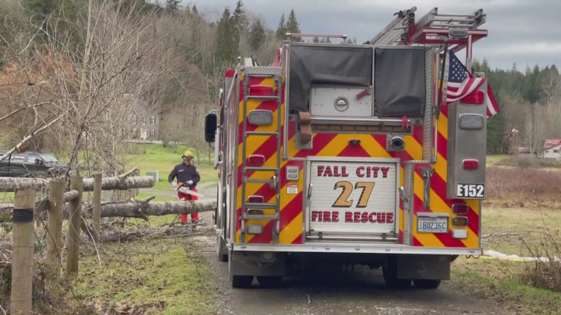 Tree falls on woman in Fall City during wind storm | king5.com