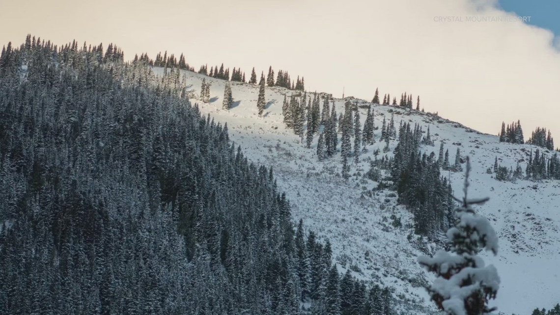 Samena Club in Bellevue Faces Closure Without Funding | king5.com