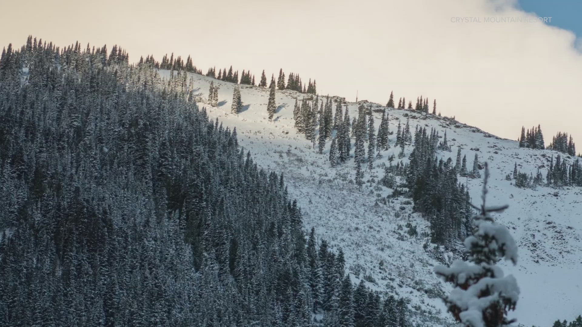 Samena Club in Bellevue Faces Closure Without Funding | king5.com