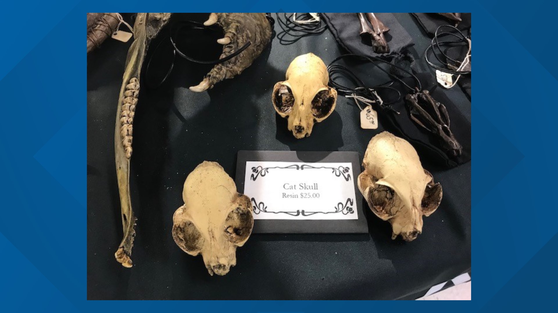 What to see at the Seattle Tattoo Expo this weekend | king5.com