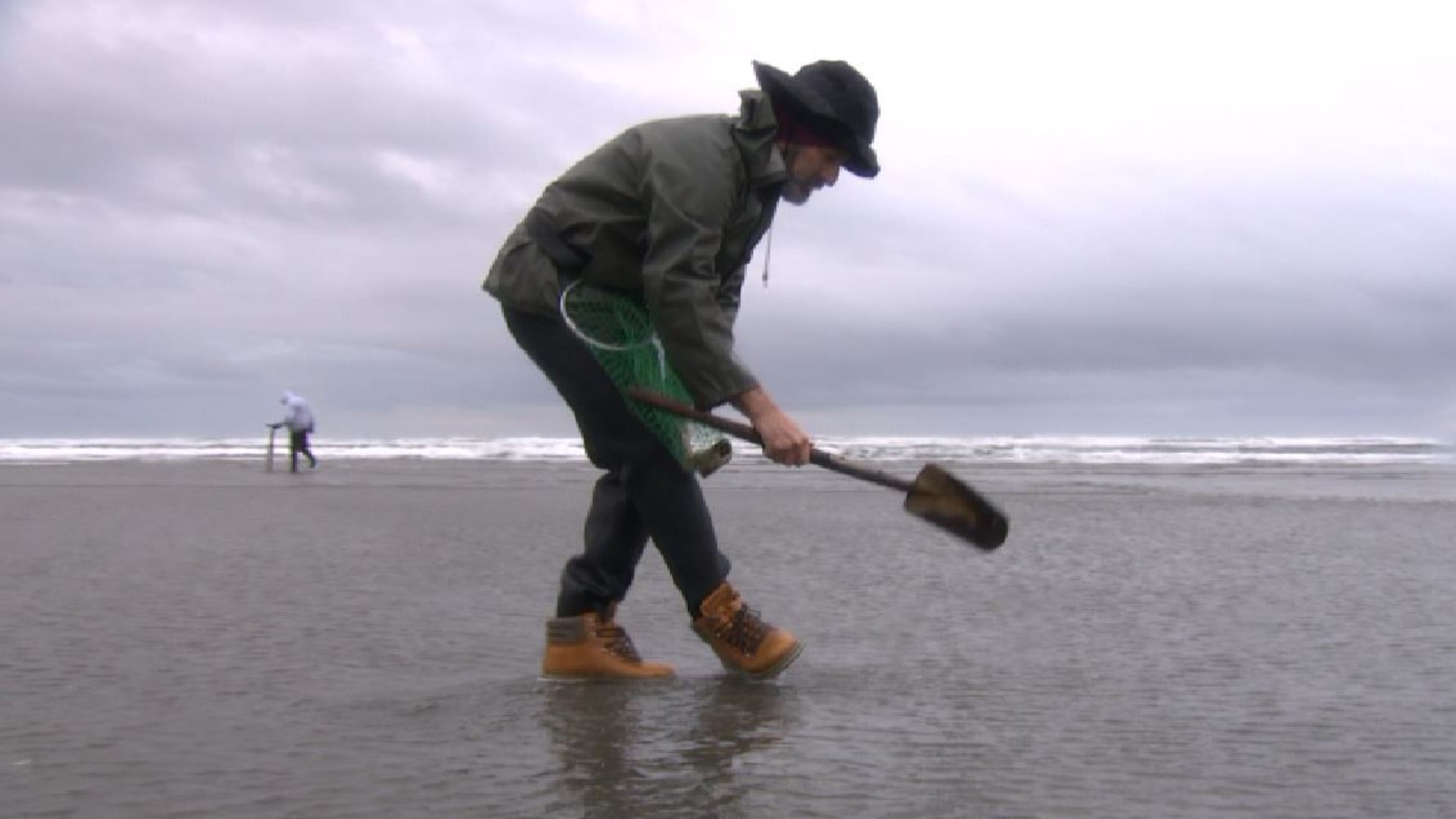 7 days of razor clam digging allowed on some Washington beaches | king5.com