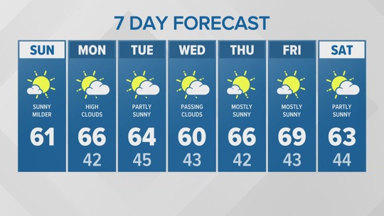 First ever sea lion pup born at Point Defiance Zoo & Aquarium | king5.com