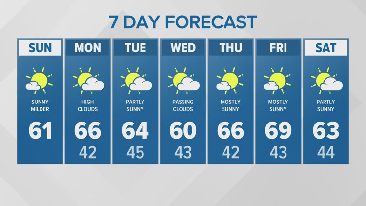 First ever sea lion pup born at Point Defiance Zoo & Aquarium | king5.com