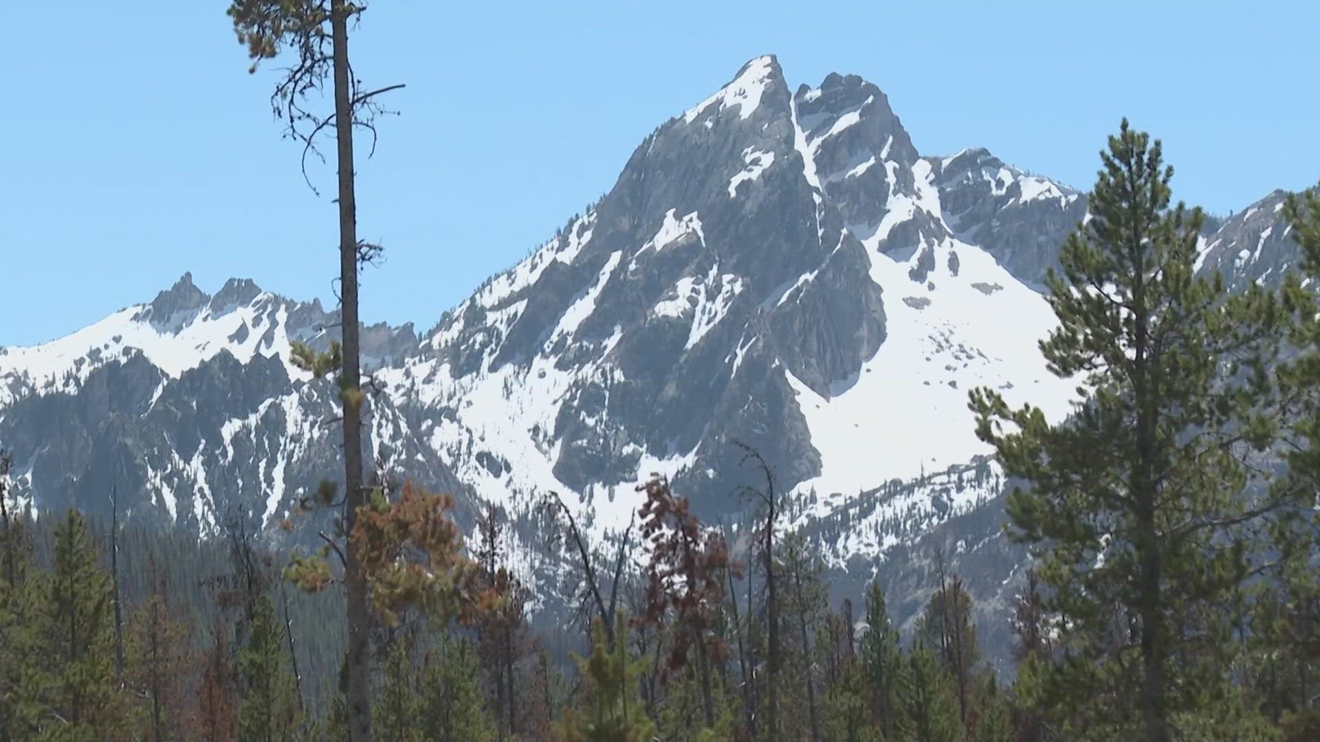 Authorities search Idaho forest for fugitive Travis Decker | king5.com