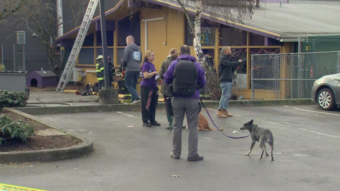 All dogs rescued after Seattle doggy daycare fire | king5.com