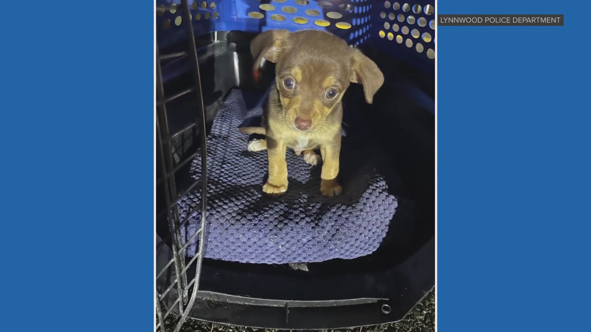 Is Google down? Outage disrupts Google Workspace | king5.com