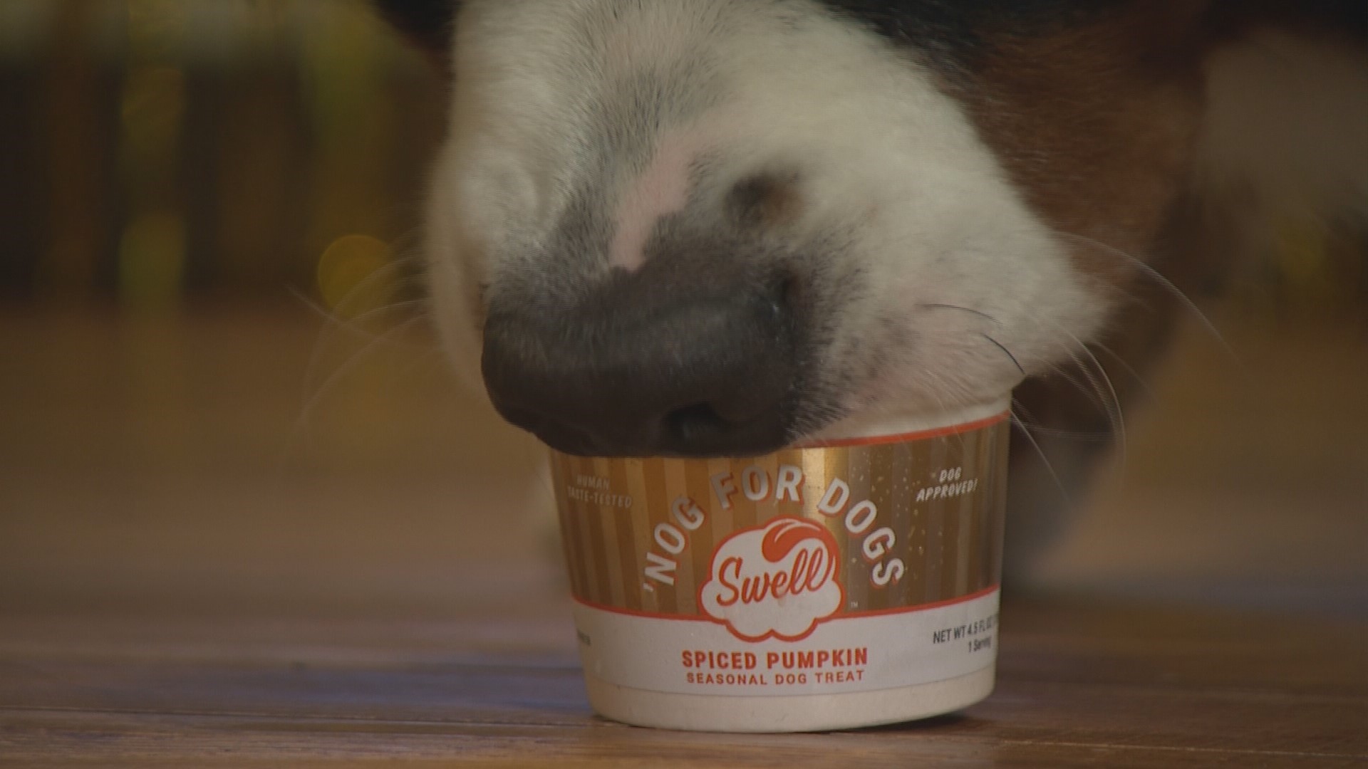 'Nog for Dogs is seasonal dessert for man's best friend | king5.com