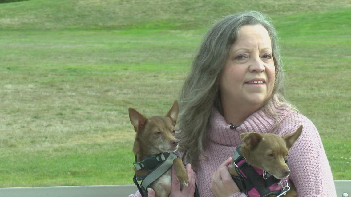 Facebook group helps find nearly 10,000 missing dogs a year throughout ...