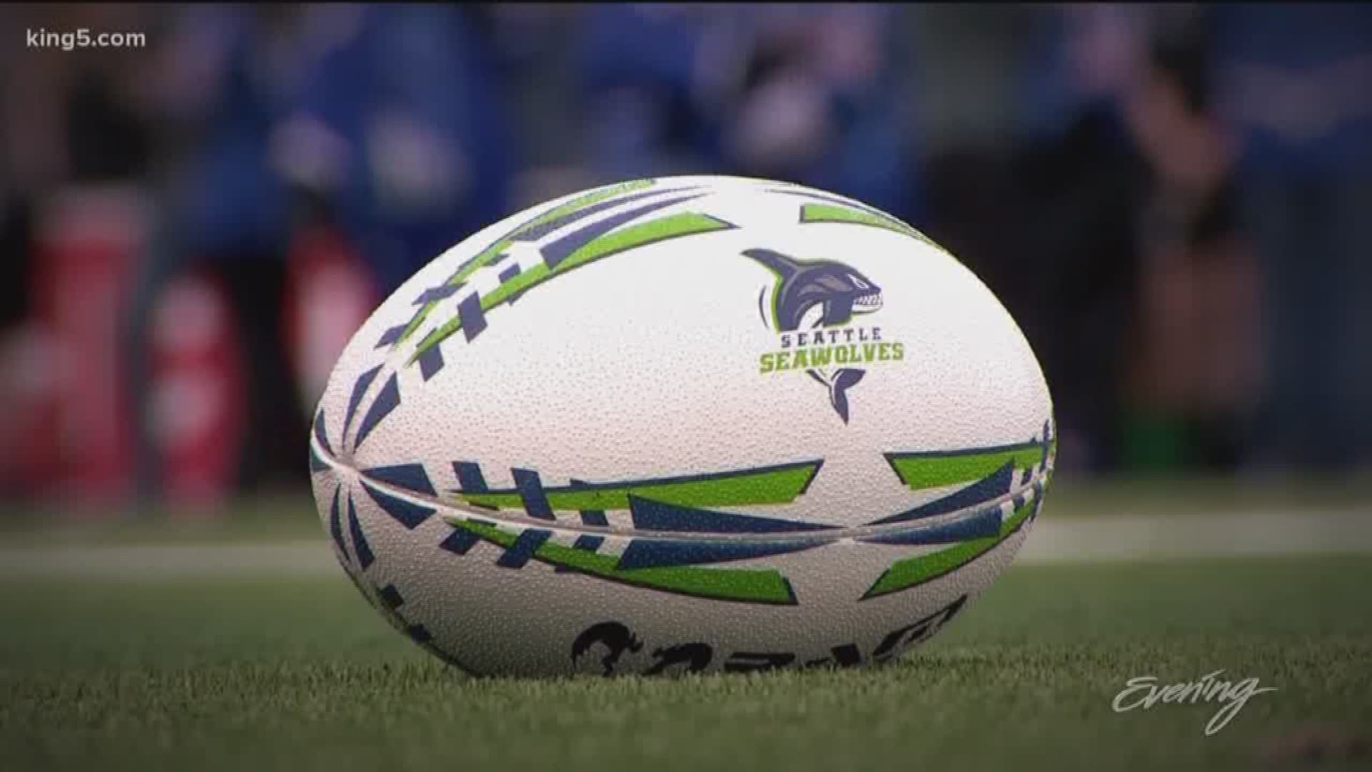 Seattle Seawolves bring professional rugby to Seattle | king5.com