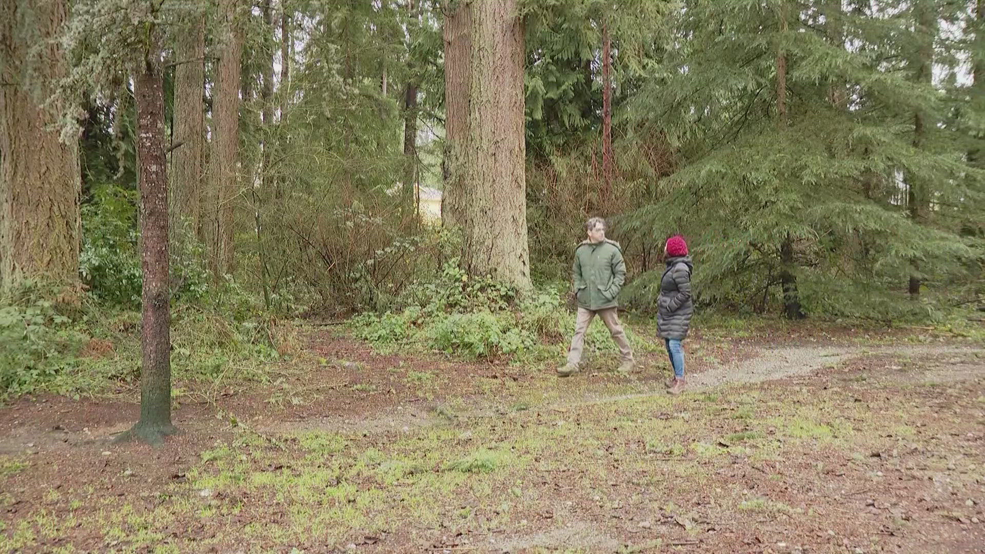 'Aggressive' owl attacking people at Everett park, officials say ...