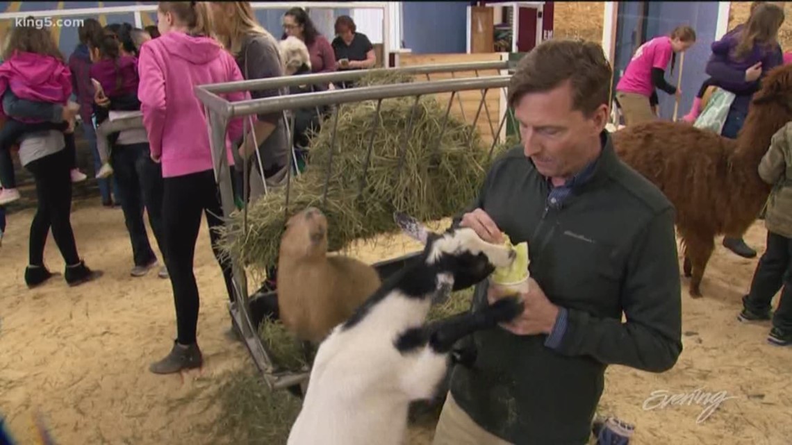 Wed 4/10 Saint Bryan hosts from Debbie Doolittle's Indoor Petting Zoo ...