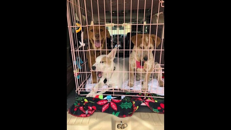 Project Freedom Ride | king5.com