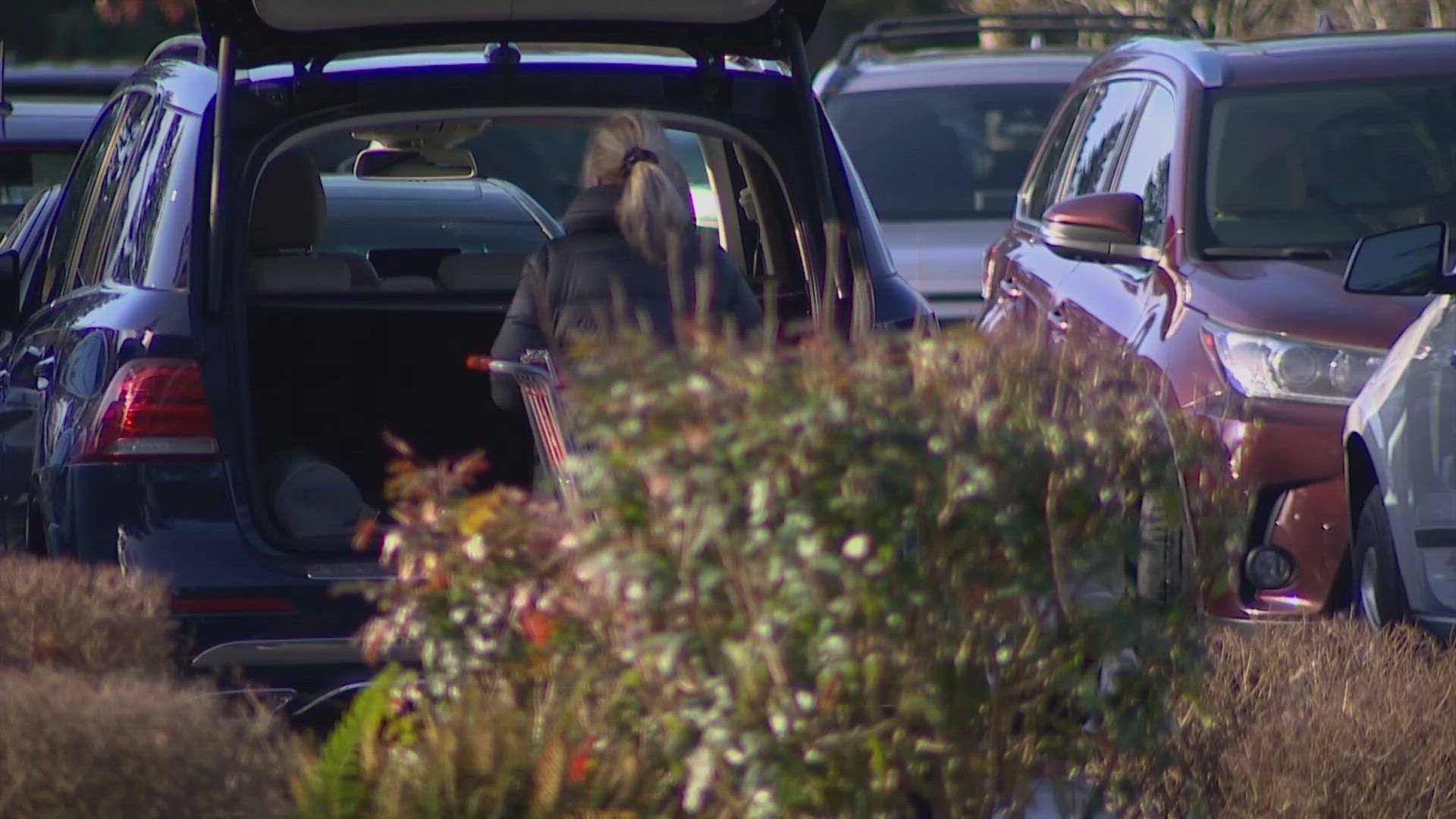 Police investigating purse snatching crimes in Gig Harbor | king5.com