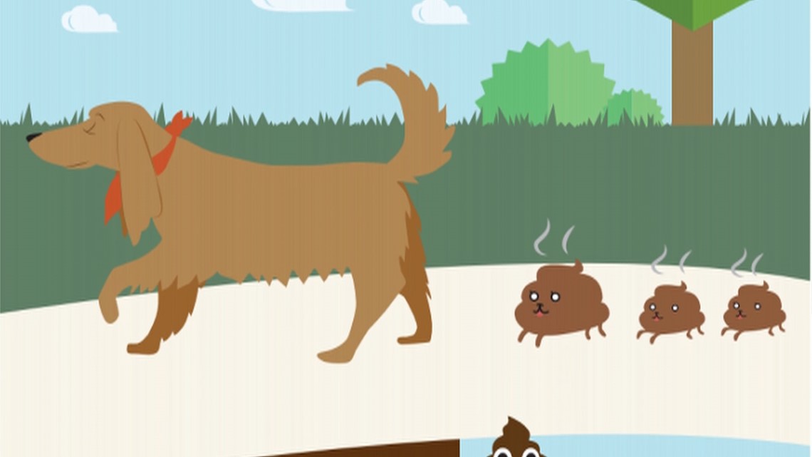 Poop happens, so Skagit County wants you to 'poop smart' | king5.com