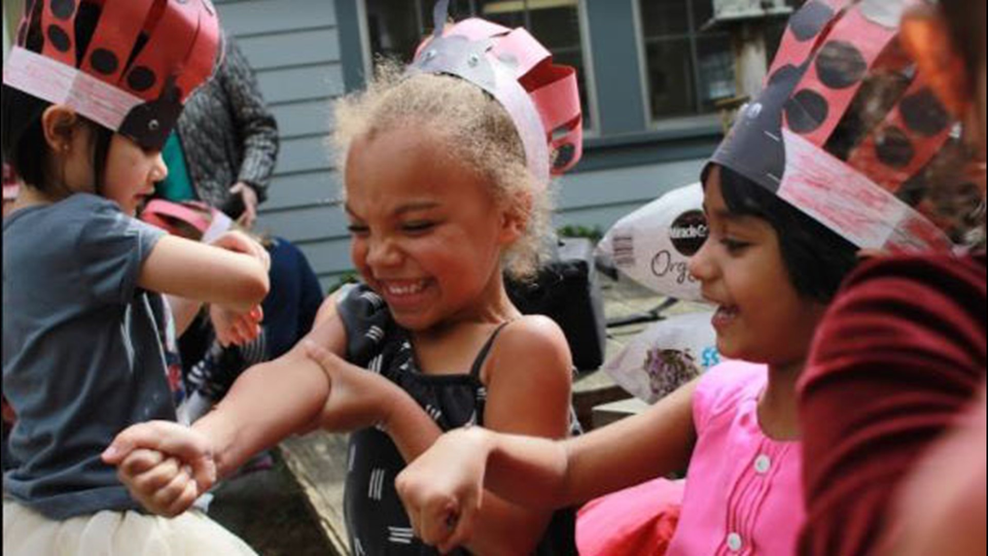 Seattle preschools release thousands of ladybugs for Earth Day | king5.com