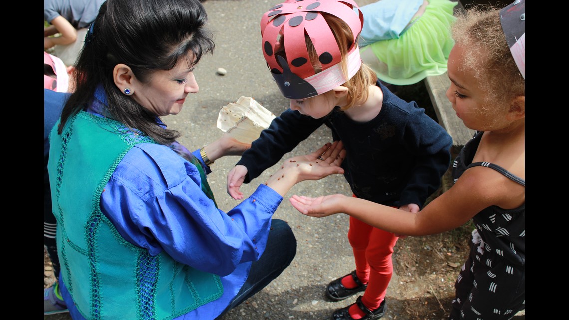 Seattle preschools release thousands of ladybugs for Earth Day | king5.com