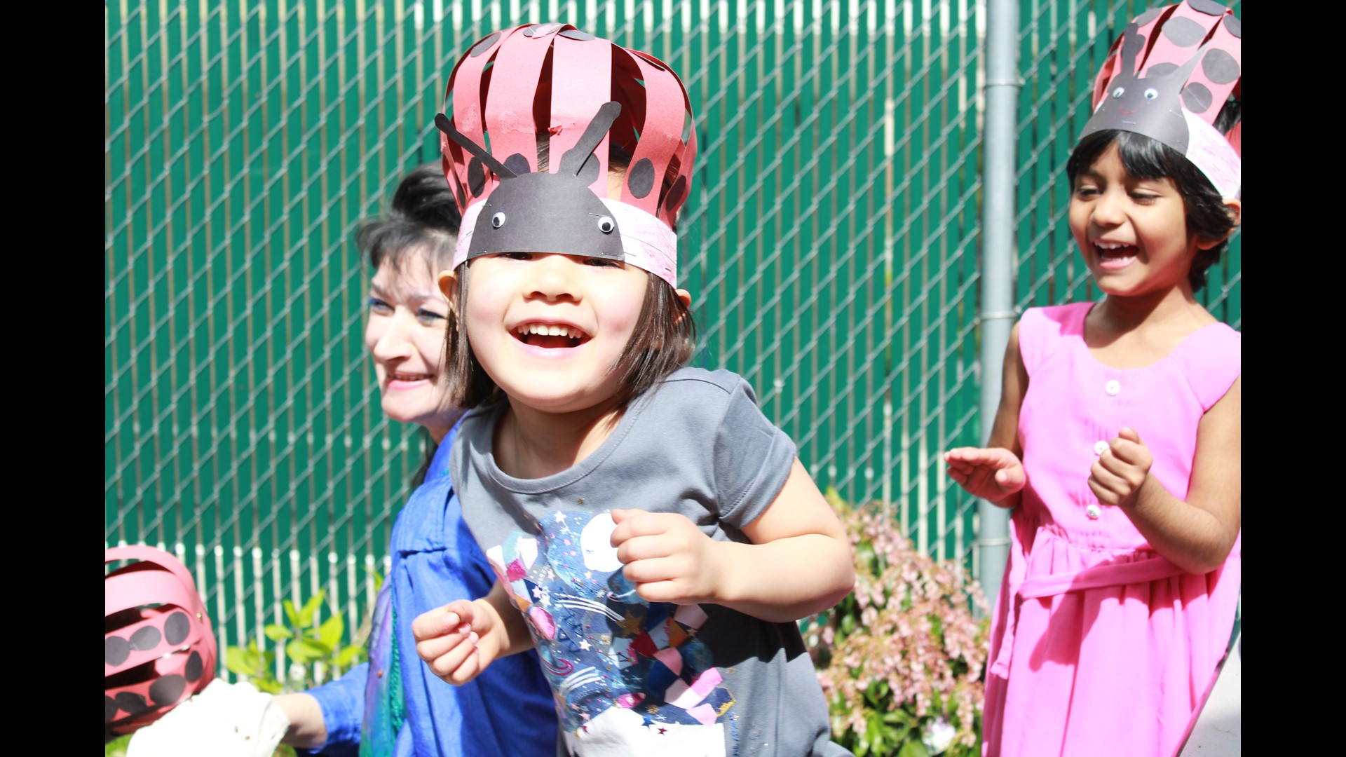 Seattle preschools release thousands of ladybugs for Earth Day | king5.com