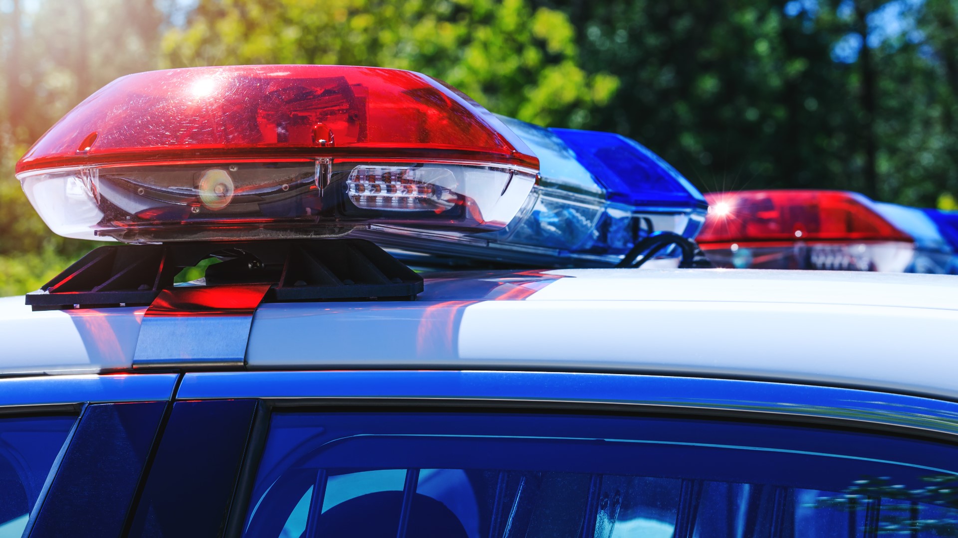 WSP targets human trafficking networks, arrests 12 during operation at ...