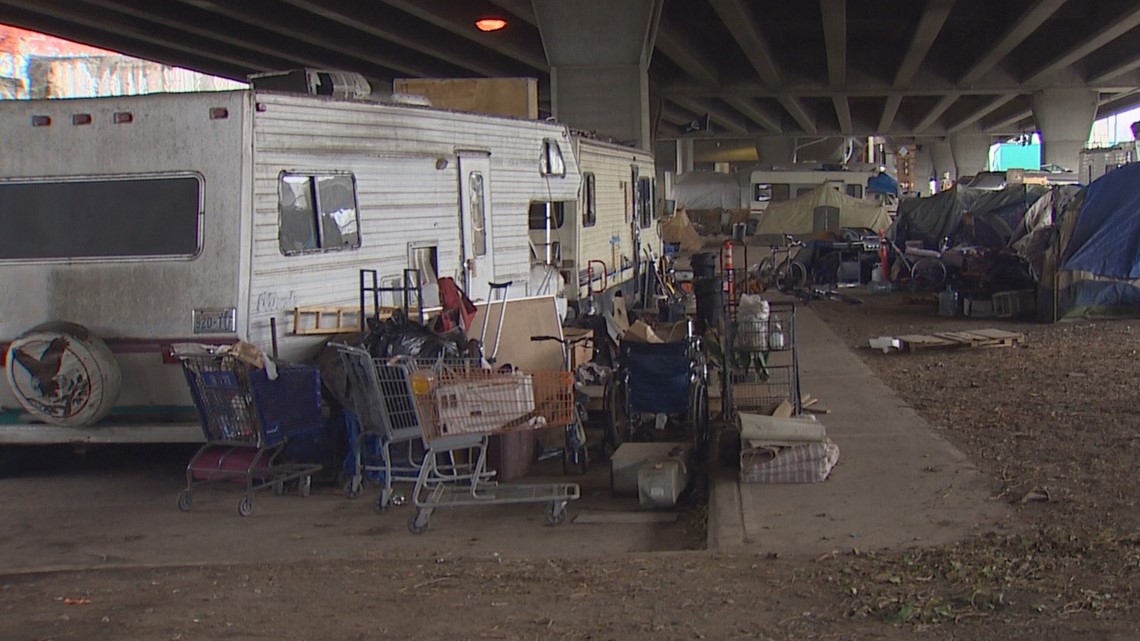 Seattle, King County homeless count shows more people living in ...